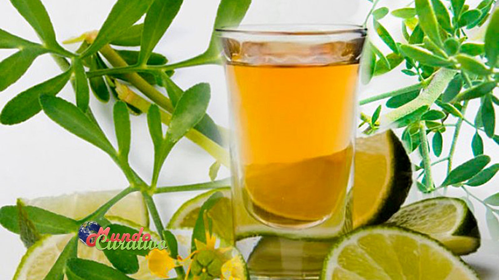 El Té de ruda y sus grandes beneficios cómo se prepara – Mundo Curativo